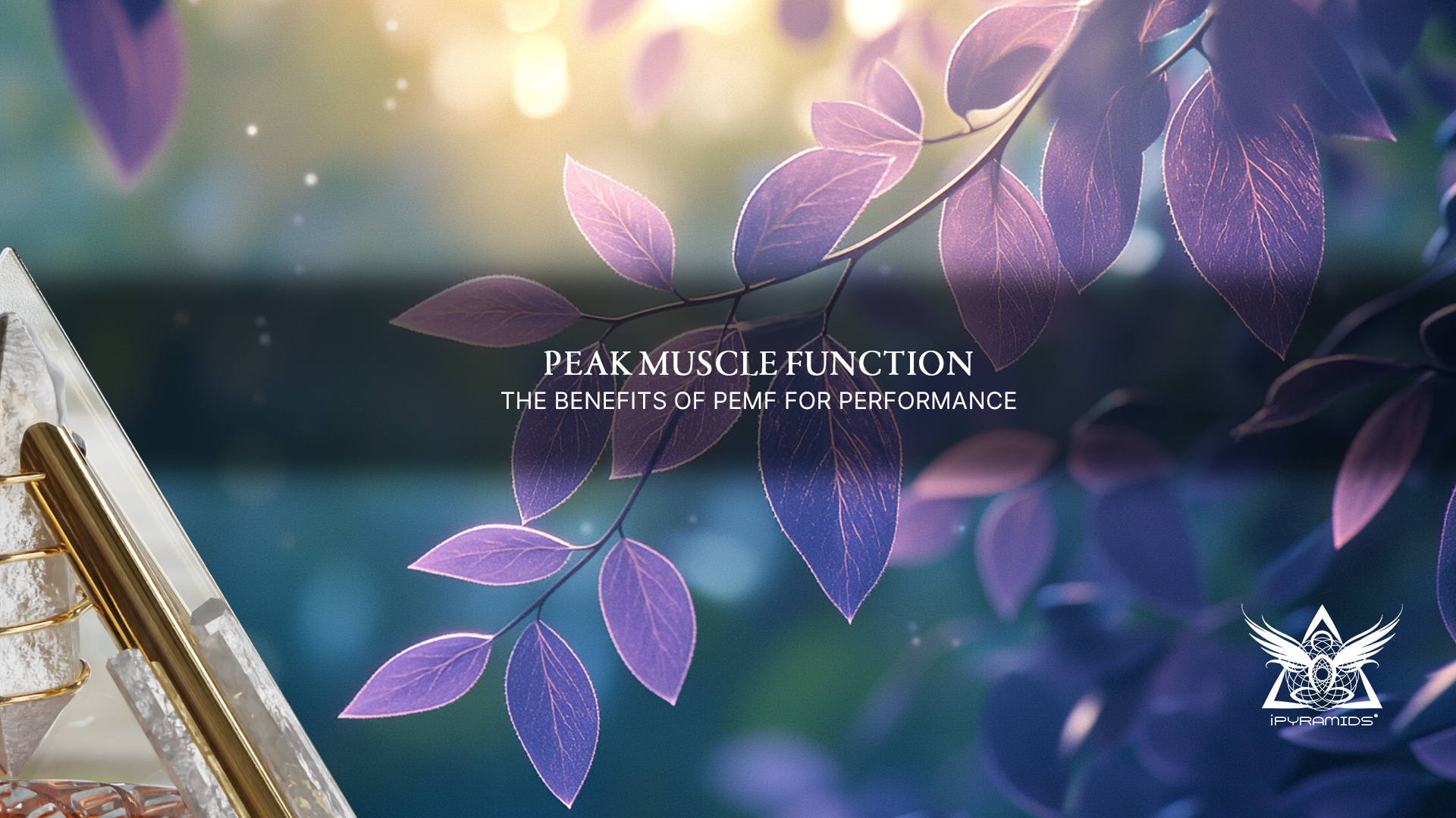 Peak Muscle Function: The Benefits of PEMF for Performance – iPyramids ...