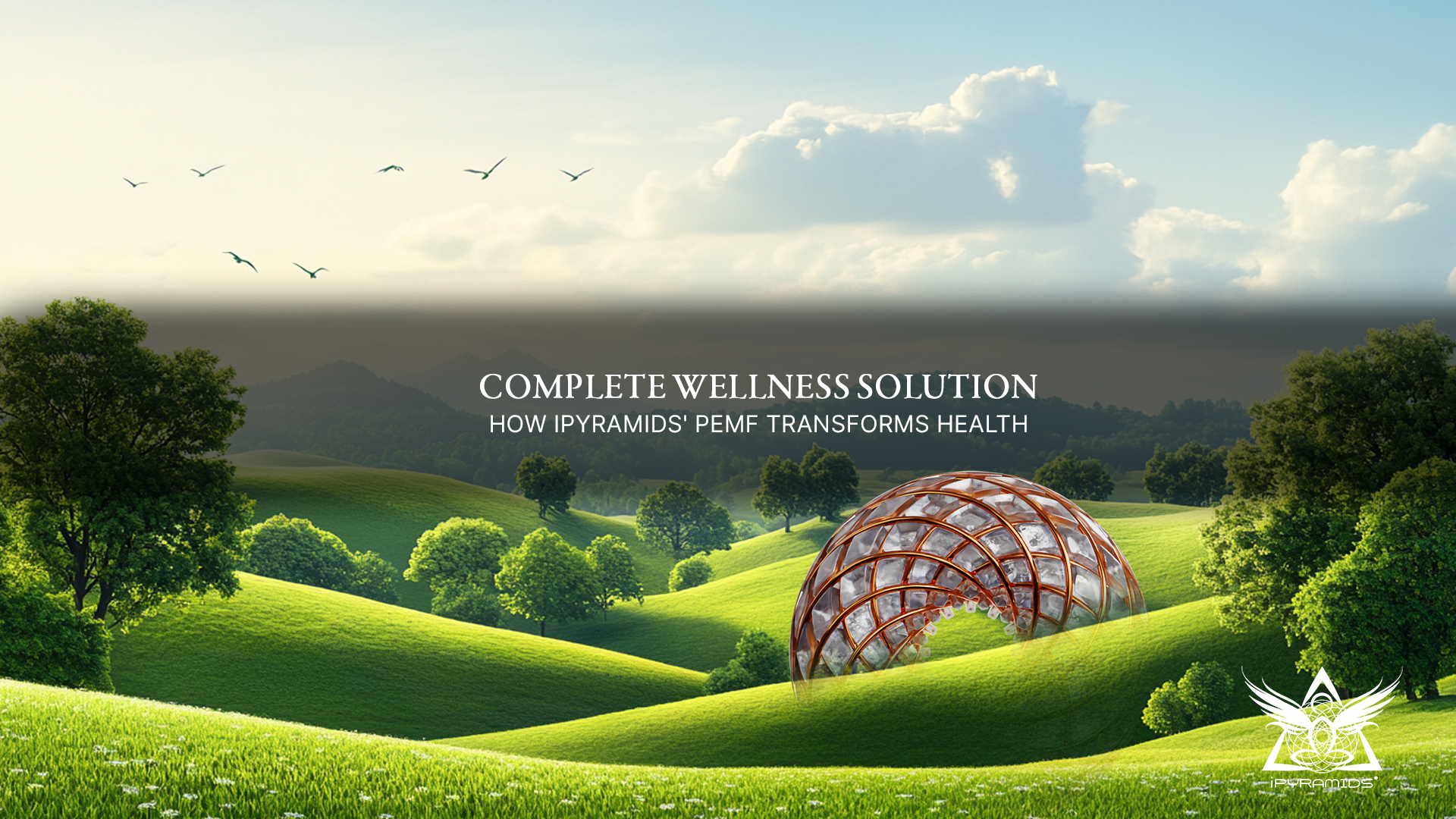 Complete Wellness Solution: How iPyramids' PEMF Transforms Health ...