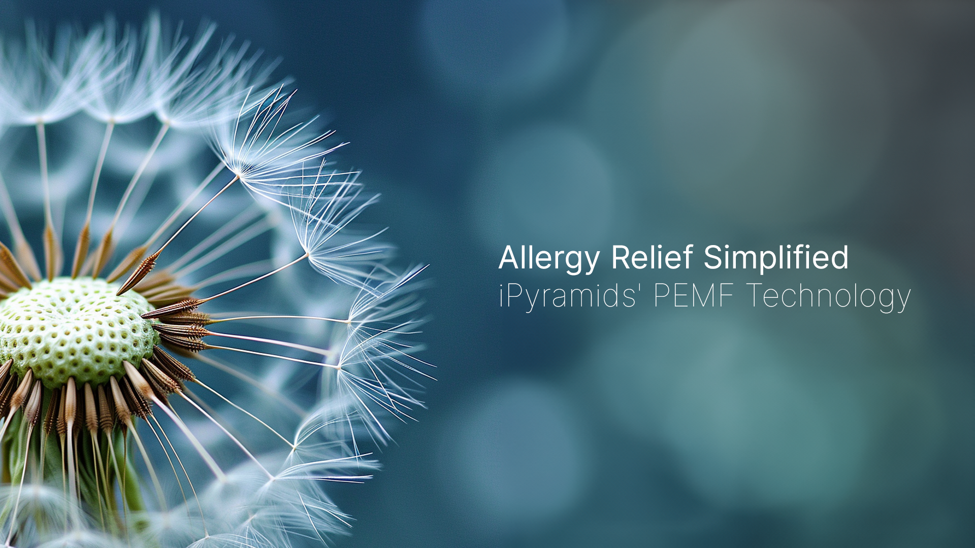 Allergy Relief Simplified: iPyramids' PEMF Technology – iPyramids Store