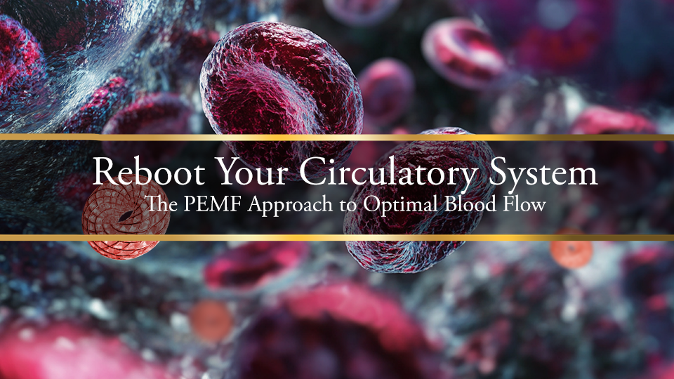 Reboot Your Circulatory System: The PEMF Approach to Optimal Blood Flo ...